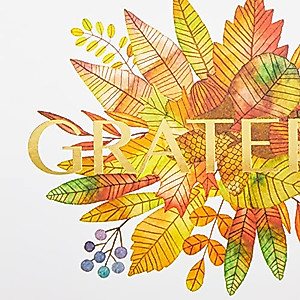 48 Pack Bulk Thanksgiving Greeting Cards and Kraft Envelopes, 6 Fall Designs, Blank Inside (4 x 6 In)