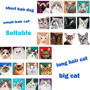 weback Best Flea Comb for Cats and Dogs Set