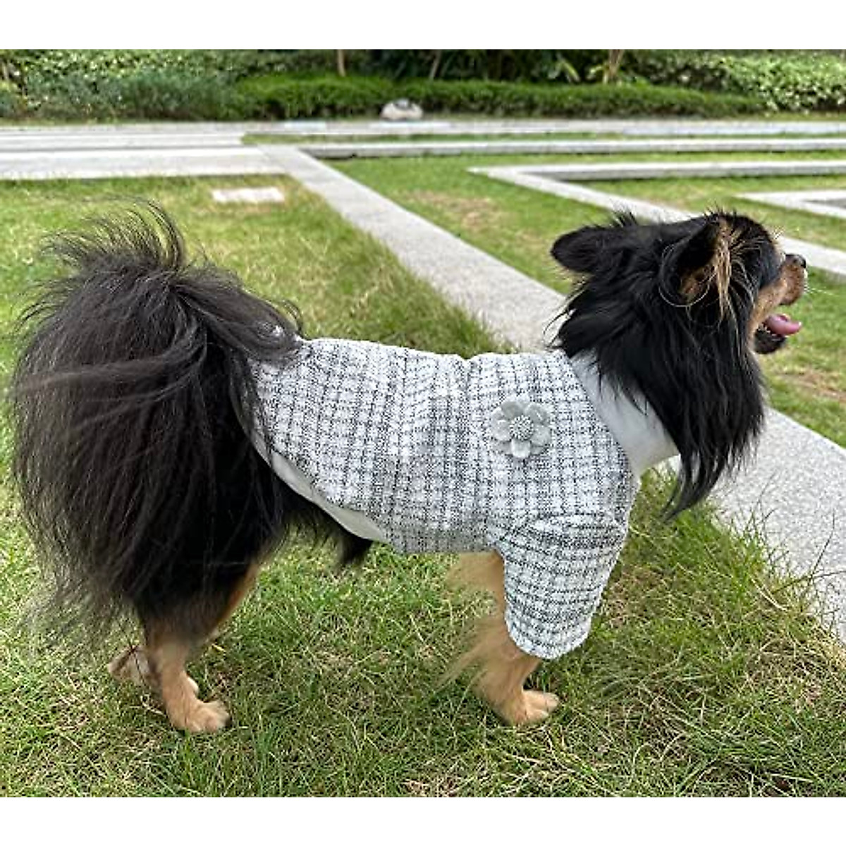 MESHEEN Elegant Premium Dog Shirt for Puppy and Cat Made of Soft Breathable Stretch Customized Fabric, Dog Clothes Use Mid Collar Short Sleeve Design Make Your Pet More Cute and Fashion