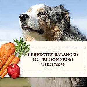 Whole Earth Farms Grain Free All Breed –Adult Canned Wet Dog Food 12.7 Ounce (Pack of 12)