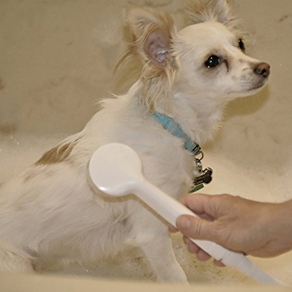 Danco 10086 VersaSpray Portable Hand Held Shower Head Sprayer Fits Bathtubs Without Diverter, 1 Pack, White