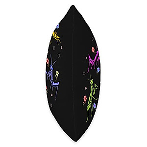 Praying Mantis Lover Insect Future Entomologist Insect Collecting Bug Catching Praying Mantis Entomology Throw Pillow, 16x16, Multicolor