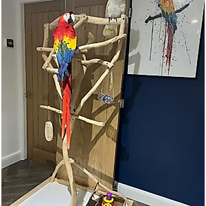 Exoticdad Parrot Stand - Reptile Birds Perches For Parrots - Wood Perches Stand For Parrot - Uniquely Sanded ,Custom Made Designed For Parrots, Cockatoo, Parakeets- 2ft x 3ft Base and 5.5-6ft Height