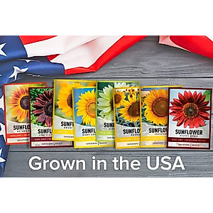 Sunflower Seeds for Planting Flowers (8 Pack) - Velvet Queen, Skyscraper, Lemon Queen, Giant , Autumn Beauty, Chocolate Cherry, Dwarf Sunspot and Mammoth Bulk Outdoor Flower Garden by Gardners Basics
