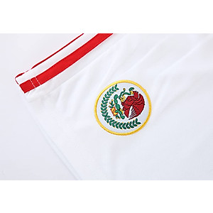 Mexico Green Futbol Sports Soccer Football Boys Kids Youth Jersey Shirt Kit Shorts Set (Size-26 (8-9 Years))