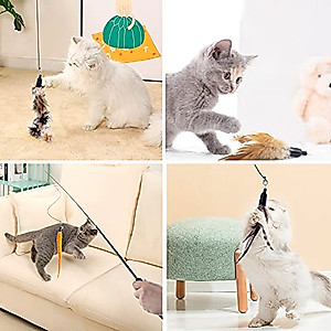 Retractable Cat Wand Toy for Indoor Cats Interactive Cat Feather Toys with Bell 8 Packs Kitten Toys with Fishing Pole Replaceable Worm Feather Tail Cat String Toy Gift for Indoor Outdoor