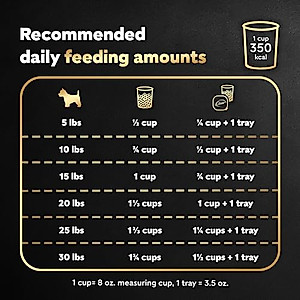 CESAR Adult Small Breed Dry Dog Food, Filet Mignon Flavor with Spring Vegetables Garnish, 5 lb. Bag