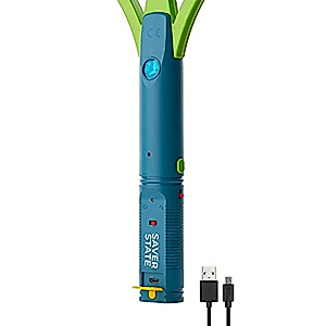 SWAT IT! Bug Zapper Rechargeable Bug Zapper Racket, 4000 Volt, USB Charging Cable, 2 Pack (Large)
