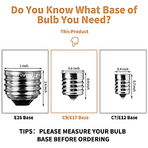 Brightown 24-Pack Edison Replacement Light Bulbs,7W E17 Screw Base ST40 Replacement Clear Glass Light Bulbs for Outdoor Patio ST40 String Lights, Warm White