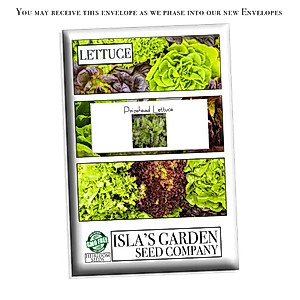 "Prizehead" Lettuce Seeds for Planting, 1000+ Heirloom Seeds Per Packet, (Isla's Garden Seeds), Non GMO Seeds, Botanical Name: Lactuca Sativa, 85% Germination Rates, Great Home Garden Gift