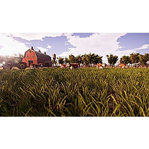 Real Farm - PlayStation 4