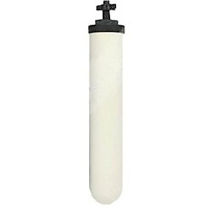 Doulton W9121709 10-Inch Super Sterasyl Ceramic Gravity Filter Candle