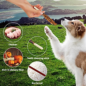 HEYISME Chicken Wrapped Sticks Pumpkin Dog Treats,14.1oz Rawhide Free Natural Dental Chews,Dog Training Treats,Dog Teeth Cleaning