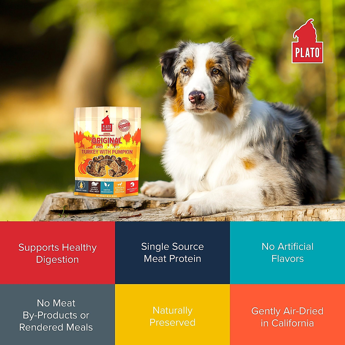 PLATO Turkey Real Strips Natural Dog Treats - Real Meat - Air Dried - Made in the USA - Turkey & Pumpkin, 3 ounces