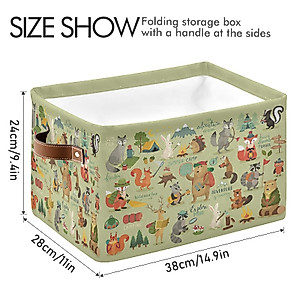 ALAZA Foldable Storage Bins, Camping Animals Jungle Fox Bear Rabbit Storage Boxes Closet Shelf Organizer for Bedroom Nursery Closet Toys Books