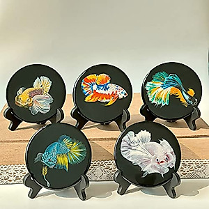 Hand-Painted Betta Fish on Resin Disc - Unique & Trending Ornaments - Office & Aquarium Accesory - Collectibles & Décor [Apatite Collection] (Blind Box, Random)