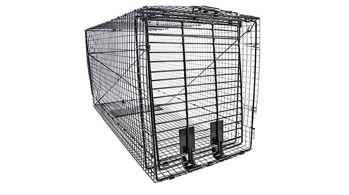 Humane 50" Folding Live Animal Trap - Safe & Effective
