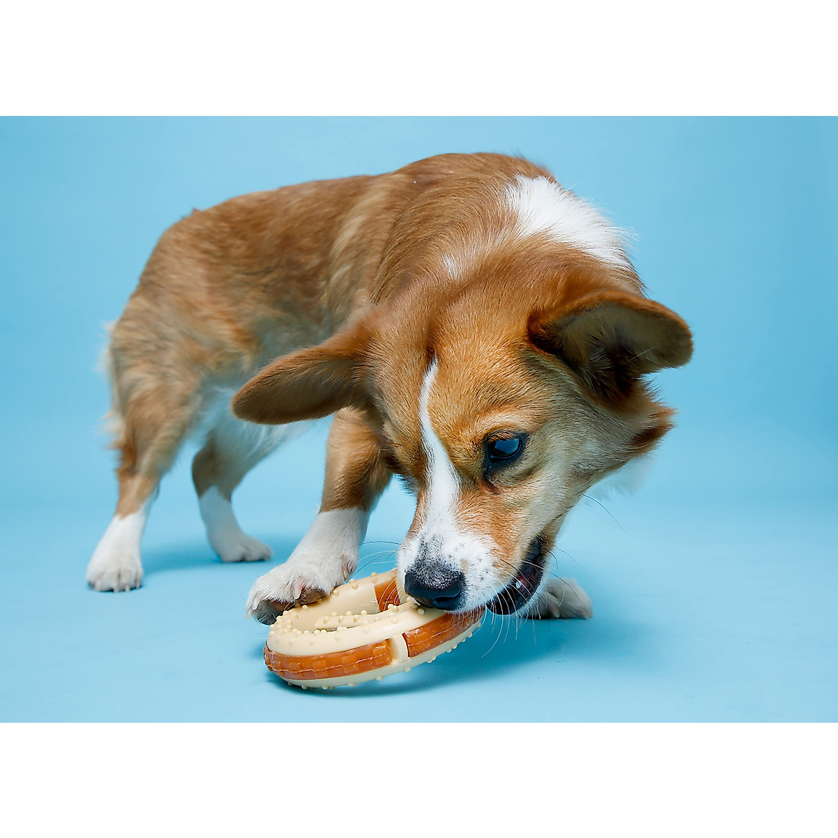 Hartz Chew ‘n Clean Chew Toy and Treat in One Chicken Flavored Ring Dog Toy, Medium