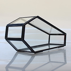 libproqia Small Coffin Glass Jewelry Box Black Trinkets Glass Coffin Terrarium Gothic Halloween Storage Vintage Coffin Box Glass Vampire Keepsake Display Organizer