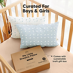 2-Pack Toddler Pillow - Soft Organic Cotton Toddler Pillows for Sleeping - 13X18 Small Pillow for Kids - Kids Pillows for Sleeping - Kids Pillow for Travel, School, Nap, Age 2 to 5 (Spacecrafts)