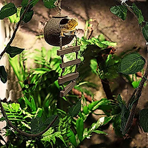 kathson Lizard Coco Den Gecko Coconut Husk Hut with Ladder Reptile Terrarium Plants Decor Hanging Lizards Hideouts Habitat Climbing Decorations Jungle Climber Vines for Chameleon 5 Pack