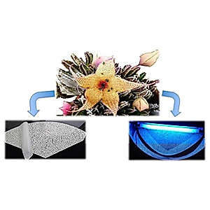 Mergence Glue Boards (5)