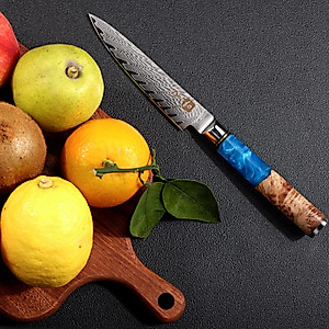 Dnifo Kitchen Utility Knife 5 Inch, Damascus Steel Kitchen Knives -Super Sharp Ultimate All-Purpose Knife for Slicing, Mincing, Chopping - Non-stick Blade and Anti-rusting Forged