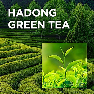 DERMALOGY by NEOGENLAB NEOGEN Real Fresh Foam Cleanser, Green Tea 5.6 Fl Oz (160g) - Soothing & Hydrating Gentle Cleansing Foam with Real Green Tea, Clean Beauty - Korean Skin Care