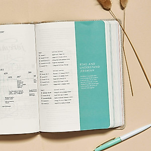 CSB She Reads Truth Bible, Champagne Gold LeatherTouch, Black Letter, Full-Color Design, Wide Margins, Journaling Space, Devotionals, Reading Plans, Single-Column, Easy-to-Read Bible Serif Type