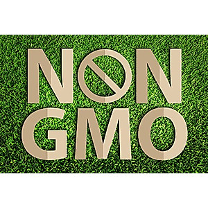 Best Earth Naturals Mushroom Complex - Vegan Formula with Lion’s Mane, Reishi, Chaga, Maitake, and Shiitake Mushrooms - 30 Day Supply