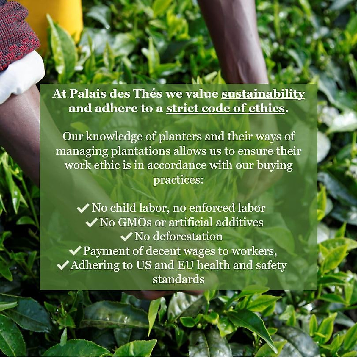 Palais des Thés - Joyeux Noël Tea - Advent Holiday Calendar with Premium Parisian Single Estate Herbal, Black, Oolong, Rooibos, Green Teas - 24 Tea Bags Total