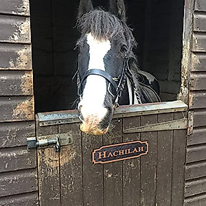 Acrylic Horse Stall Name Plate, 2.4" x 8" Personalized Stall Signs, UV Protected, Custom Pet Name Sign, All Weather Adhesive, Mounting (Antique Copper, Style 2)