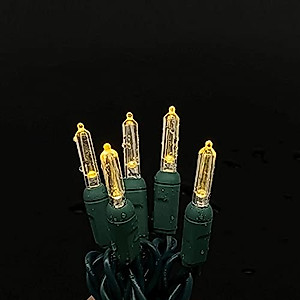 yongzhenlite UL List 50 Count LED T5 String Lights Mini Christmas Lights for Indoor and Outdoor Garden Patio Wedding Trees Decoration,17Ft Green Wire(Warm White)