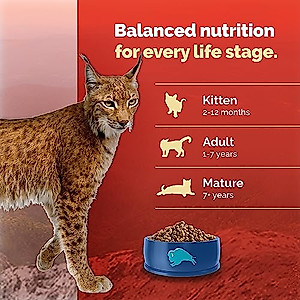 Blue Buffalo Cat Food for Indoor Cats, Hairball Control & Weight Management, Natural Chicken Recipe, Adult Indoor Dry Cat Food, 11 lb bag