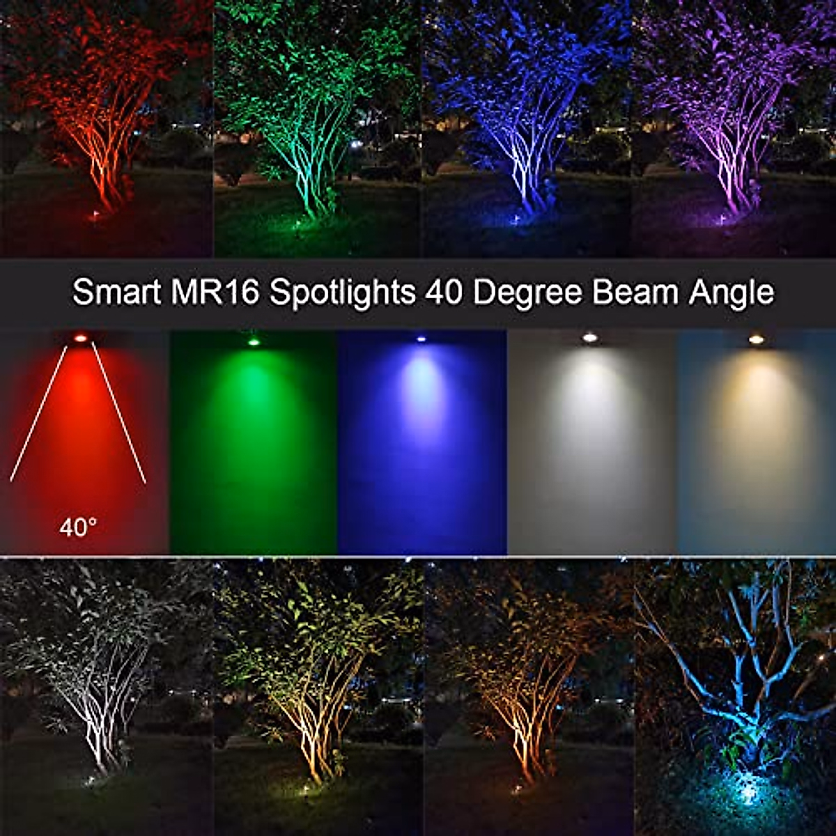 BEAMLUX Smart WiFi MR16 Color Changing led Bulbs RGBCW, Dimmable with App Control, 40° Beam Angle AC/DC 12V GU5.3 Base, Compatible with Alexa and Google Home Assistant, No Hub Required (2PACK)