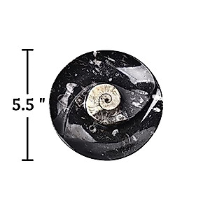 AMOYSTONE Morocco Fossil Bowls Natural Decorative Bowls Orthoceras Fossil Plate Round Stone Tray Unique Quartz Decorative Fossil for Collection, Jewelry Plate, Home Decor 5.5"