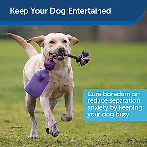 PetSafe Busy Buddy Tug-A-Jug Dog Toy – Slow Feeder and Trainer – Small