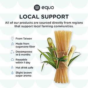 EQUO Sugarcane Straws, Disposable, Biodegradable, Compostable, and Plastic-Free Drinking Straws, Pack of 50, Standard