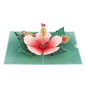 Lovepop Hibiscus Bloom Pop Up Card, 5x7-3D Greeting Card, Pop Up Paper Flower Card, Mother's Day Pop Up Card, Card for Mom, Wife or Friend, Pop Up Anniversary Card, Thinking of You