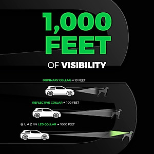 Blazin Brightest Light Up Dog Collars - The Original LED Dog Collar with 1,000 Feet of Visibility - USB Rechargeable Waterproof Dog Collar Light - Dog Lights for Night Walking - USA Brand