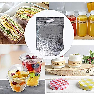 Insulated Easy Zip Lock Resealable Aluminum Sandwich Bag - Reusable Thermal Lunch Snack Bento Picnic Hot & Cold Pouch (5pcs, Small - 9.8 x 13.5 Inch)