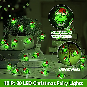 10 FT 30 LED Timer Battery Powered Christmas String Lights for Indoor Holiday Decor and Parties