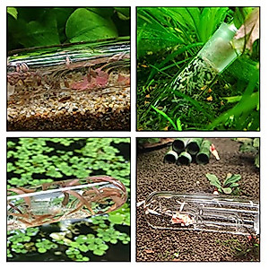 WEAVERBIRD Planaria Trap Catch Trap Leeches Catcher, Clear Glass Leech Trap Tube Catcher 2, 8 Holes for Cherry Shrimp Crystal Red Shrimp Dwarf Shrimp for Aquarium Fish Tank