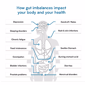 Verisana Inflammation Check – Measures Secretory IGA, Calprotectin and Alpha 1-Antitrypsin – Stool Analysis by CLIA-Certified Lab – Verisana