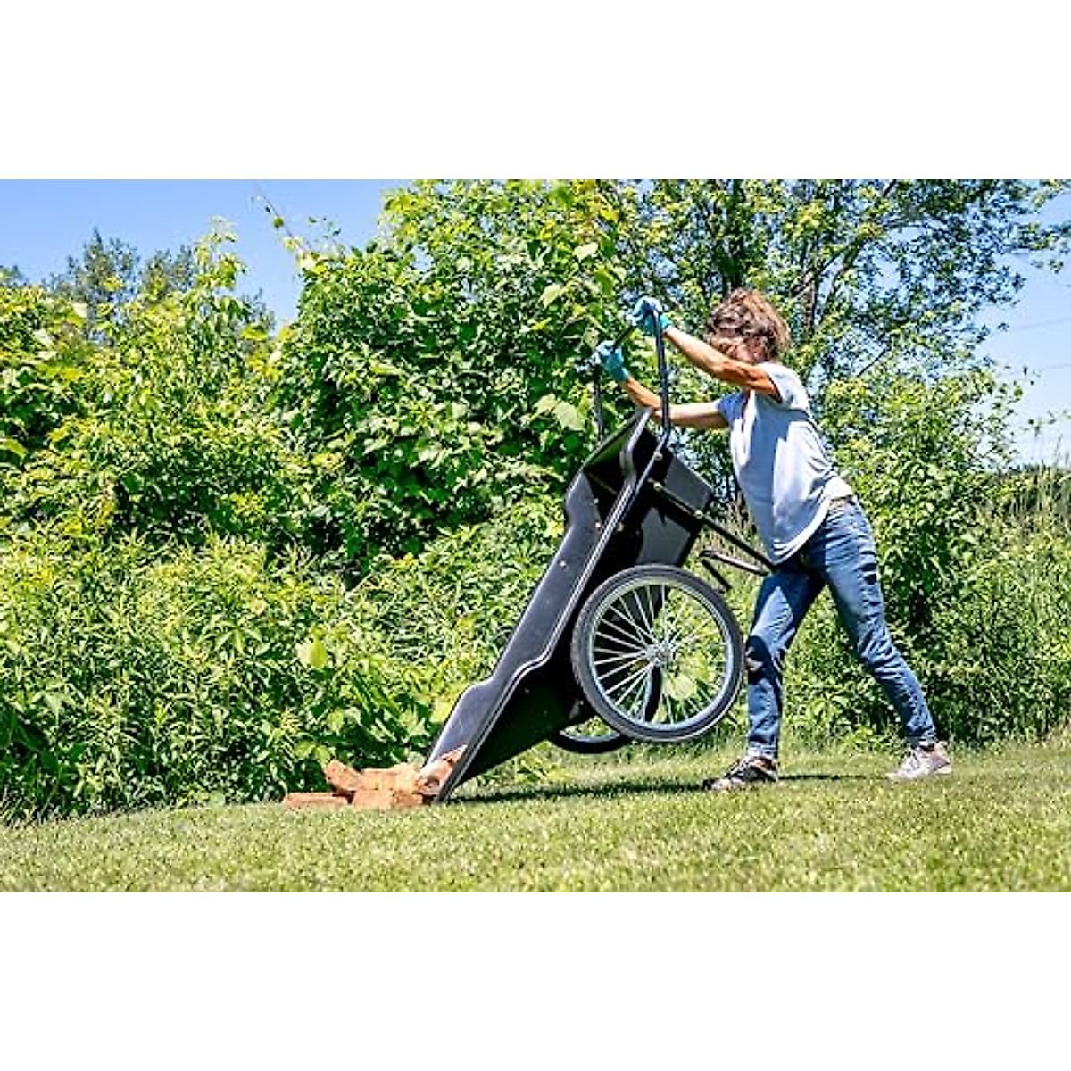 Polar Trailer 8376 Utility Cart, Standard, Black