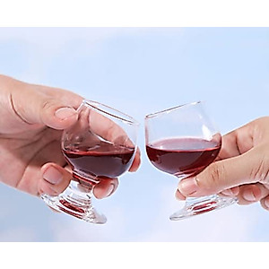 Glsairy Cute Shot Glasses Small Brandy Snifters Set of 8 | Cognac glasses | Port Glasses | Tequila Glasses(1.75 oz | 50ml)