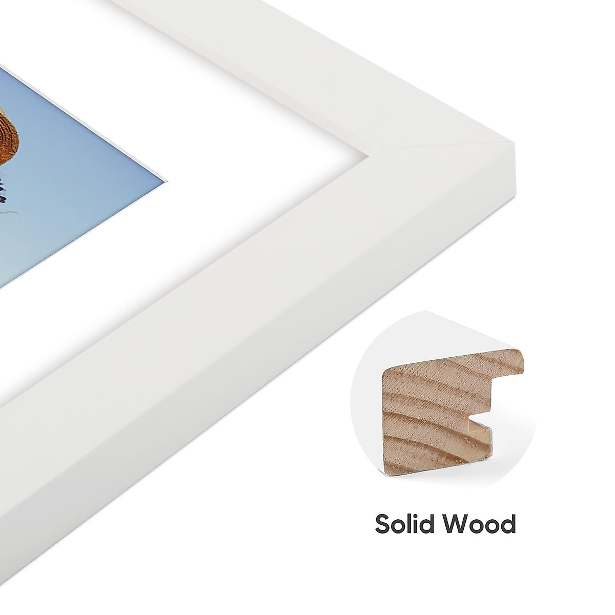 Golden State Art, Set of 2 White Photo Wood Frame 11x14 with Real Glass Mat for 8x10 Picture