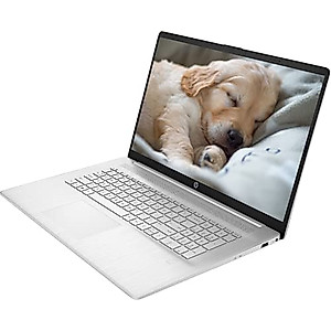 HP 17.3'' FHD IPS Display Business Laptop, AMD Ryzen 5 5500U Processor, Windows 10 Pro, 16GB RAM, 512GB SSD, Wi-Fi, Bluetooth, Webcam, Fingerprint Reader, Natural Silver