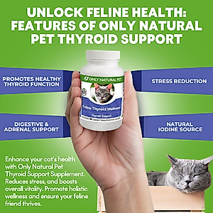 ONLY NATURAL PET Thyroid Support Supplement for Cats - Multivitamin with L-Carnitine & Lemon Balm - Vet Formulated - Helps with Endocrine & Immune Health - Turkey Flavored Chewable - 90 Tablets