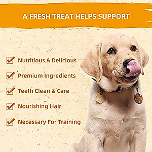 Jungle Calling Dog Treats Chicken Jerky Training Treats, Slow Roasted Snacks for Medium and Large Dogs Chewy Treats 10.6Ounce (Chicken Fillet)